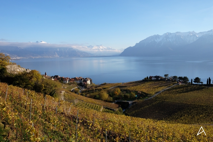 Lavaux: balade aux couleurs automnales entre les vignes - Awwway