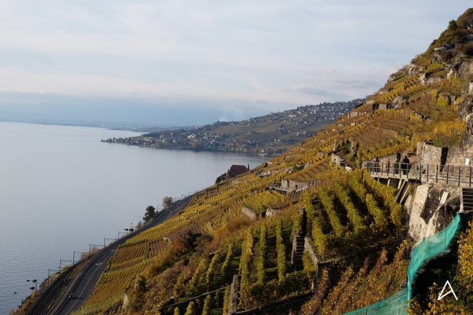Promenades d’automne dans le canton de Vaud - Awwway