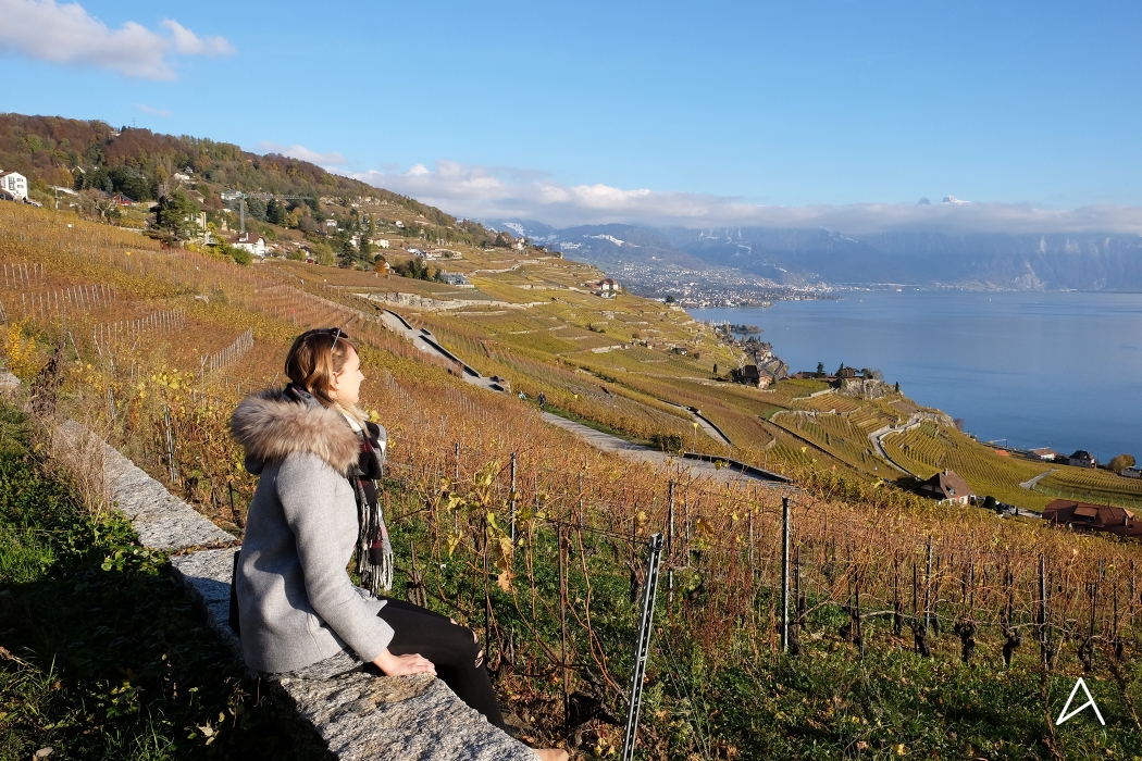 Promenades d’automne dans le canton de Vaud - Awwway