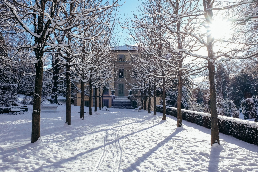 Balade hivernale féerique au Parc de Mont-Repos - Awwway