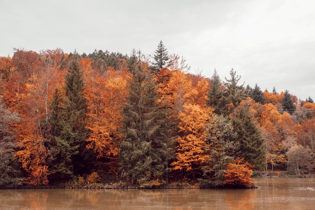 Promenades d’automne dans le canton de Vaud - Awwway