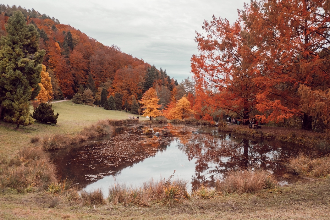 Promenades d’automne dans le canton de Vaud - Awwway